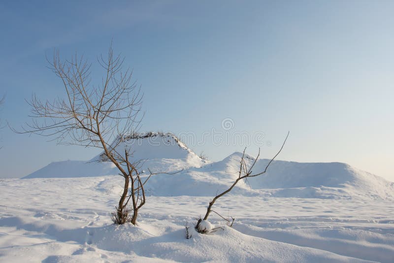 Yermo imagen de archivo. Imagen de nube, desierto, plata - 8544729