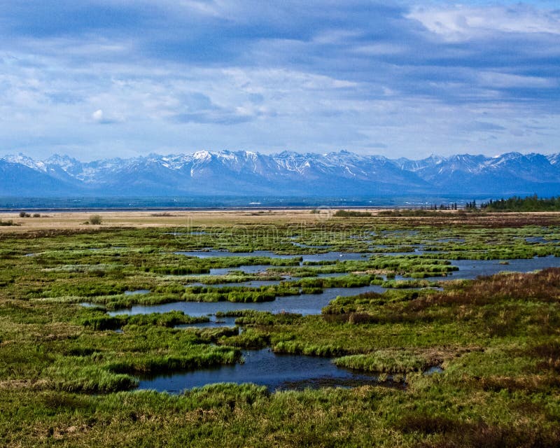 Yermo de Alaska imagen de archivo. Imagen de vacaciones - 22307535