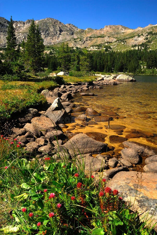 Yermo de Colorado foto de archivo. Imagen de retroceder - 17097034