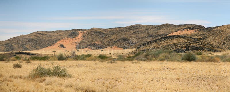 Yermo en Namibia foto de archivo. Imagen de asoleado - 21357734