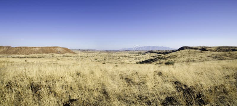 Yermo en Namibia imagen de archivo. Imagen de travieso - 2148269