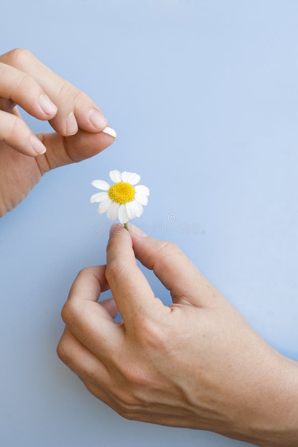 Yes or not stock image. Image of white, pulsebeat, emotion - 5498303