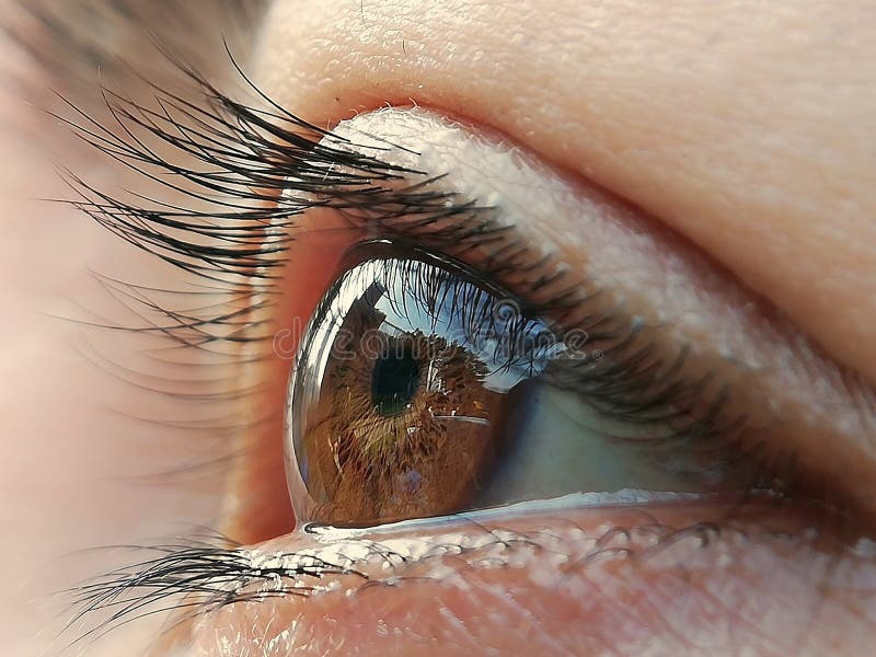 Yeux noisette image stock. Image du longing, caucasien - 19539005