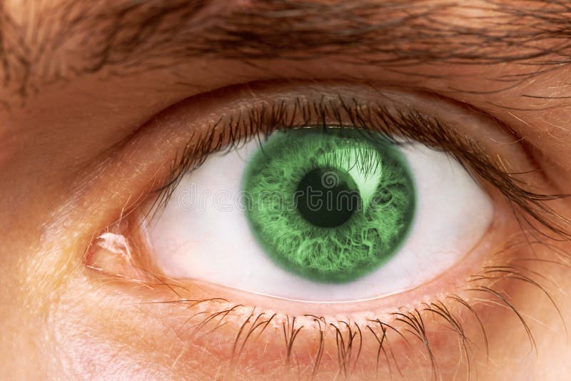 Yeux d'homme image stock. Image du adulte, iris, sourcil - 36495607