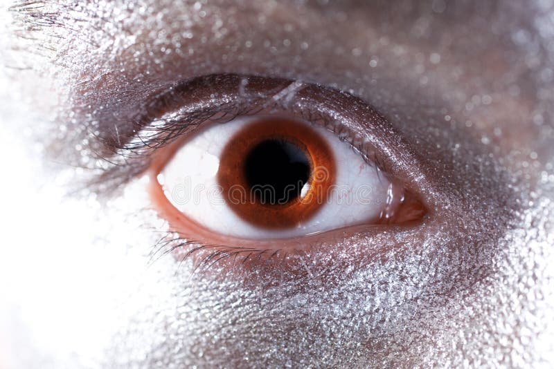 Yeux De Brown Avec Les Vaisseaux Sanguins Rouges Macro Image stock ...