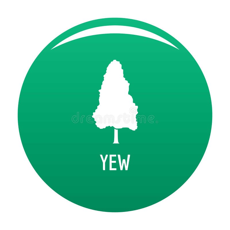 Yew tree icon vector green stock vector. Illustration of foliage ...