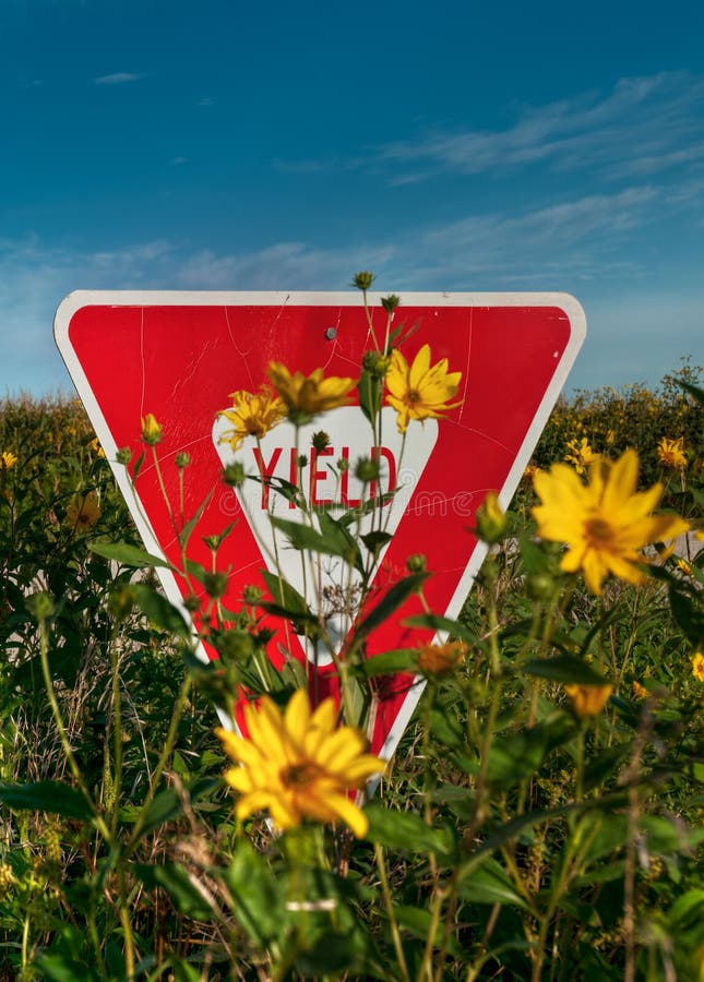 Yield Sign in Flowers stock photo. Image of vertical - 21792314