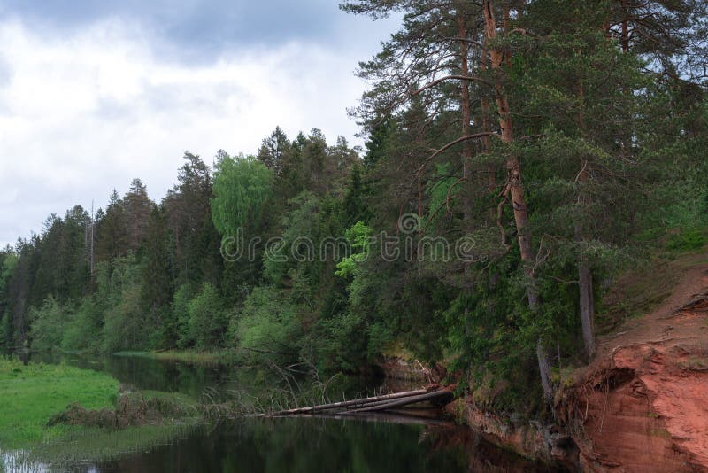 Yield on the Surface of the Geological Formation Devon. Landscape with ...
