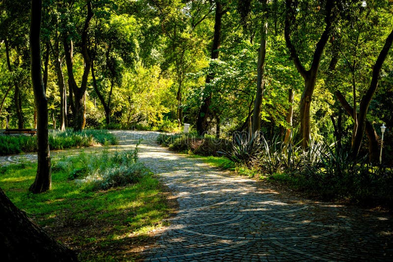 Yildiz Park in Istanbul, Turkey Stock Photo - Image of pond, water ...