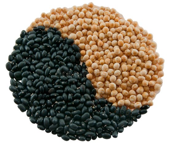 Yin yan stock image. Image of harmony, buddhist, food - 11953927