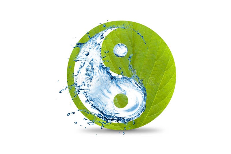 Yin Yang Green Symbol Logo stock vector. Illustration of growing - 29794465