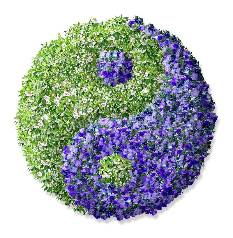 19+ Ying yan Free Stock Photos - StockFreeImages