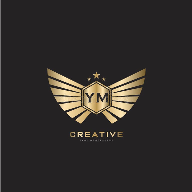 YM Letter Initial with Royal Luxury Logo Template Stock Vector ...