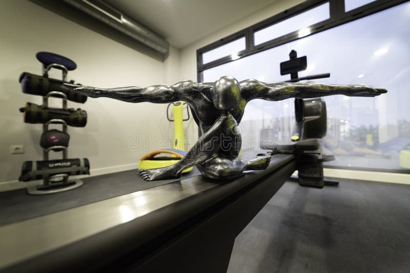 Small statue in the gym editorial stock photo. Image of bodybuilding ...