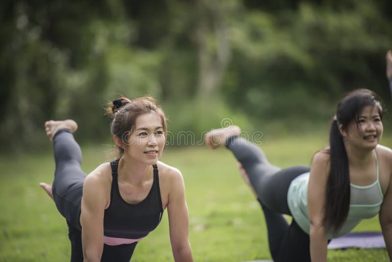 Yoga Action Exercise Healthy Stock Photo - Image of action, lifestyle ...