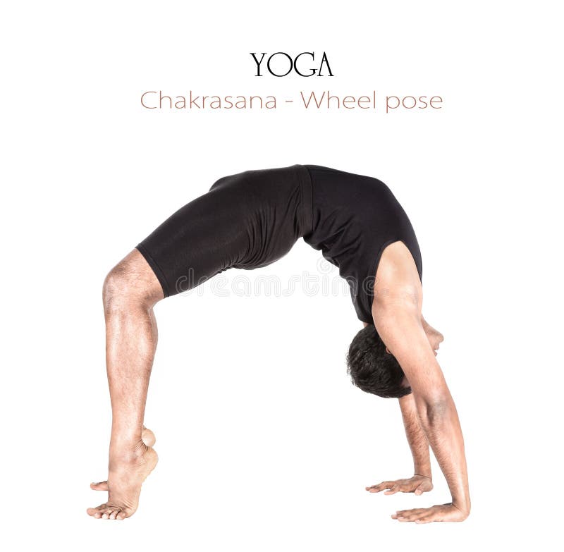 Yoga Chakrasana wheel pose stock photo. Image of health - 24556522