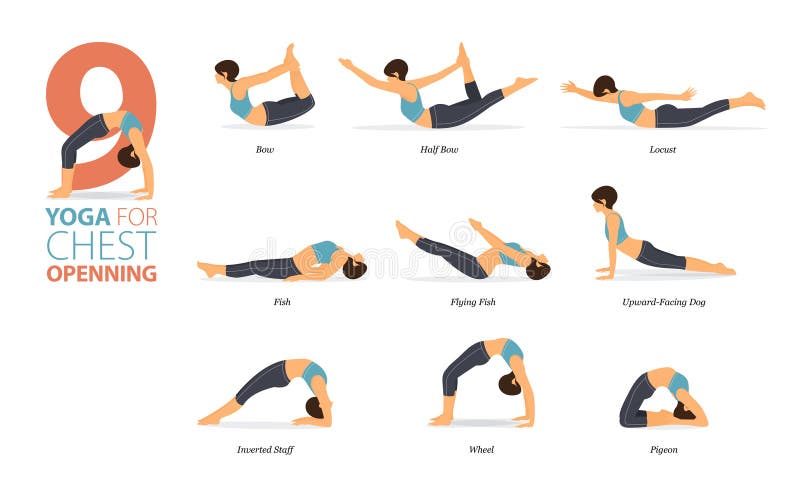 Yoga Chest Opening Poses Vector Illustration Stock Vector ...