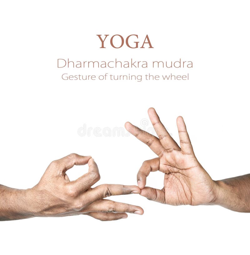 Back mudra stock image. Image of energy, peace, mudras - 27062563