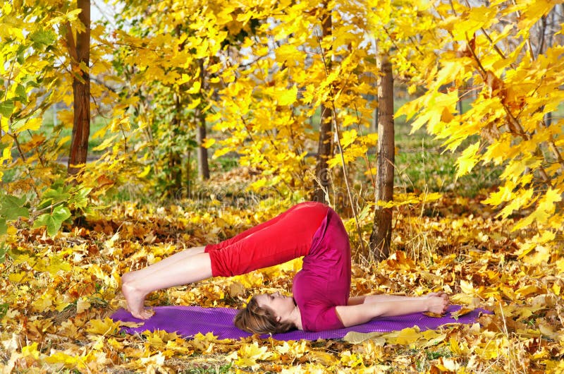 Yoga halasana in autumn stock photo. Image of beautiful - 21809016