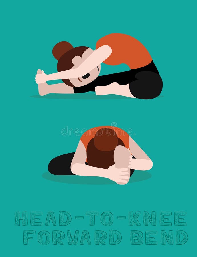 Yoga Head-to-Knee Forward Bend Cartoon Vector Illustration Stock Vector ...