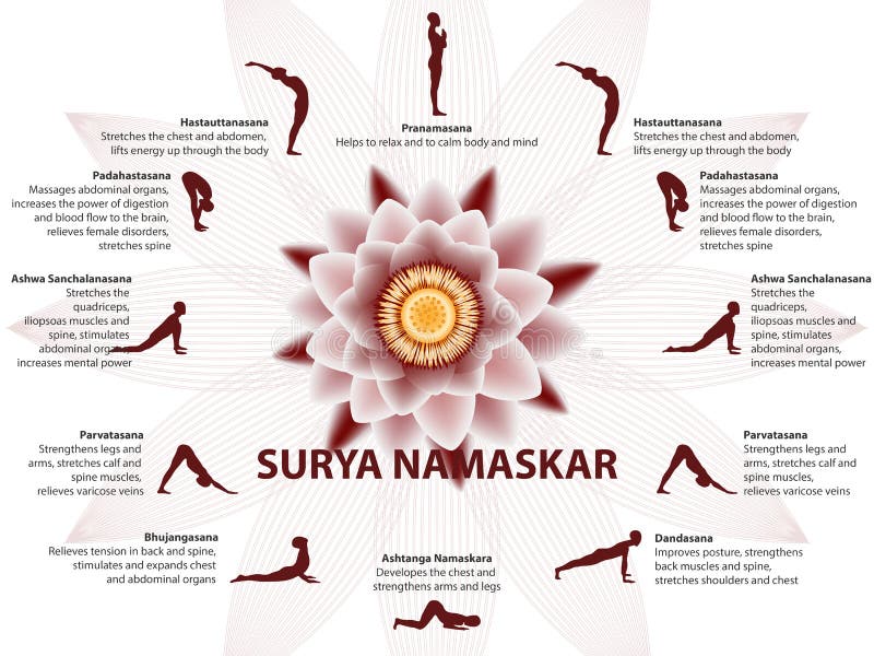 Yoga Infographics Surya Namaskar Sequence Stock Vector Illustration