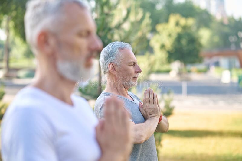 Mid Aged People Having Yoga Class in the Park Stock Image - Image of ...