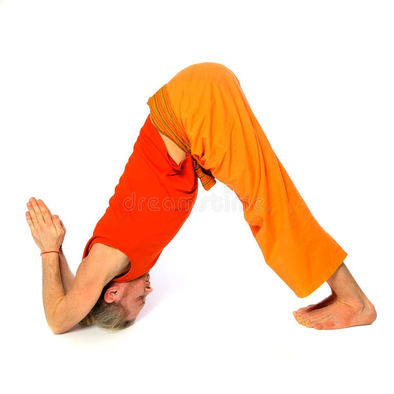 Yoga pose stock image. Image of sensei, posture, health - 29575699