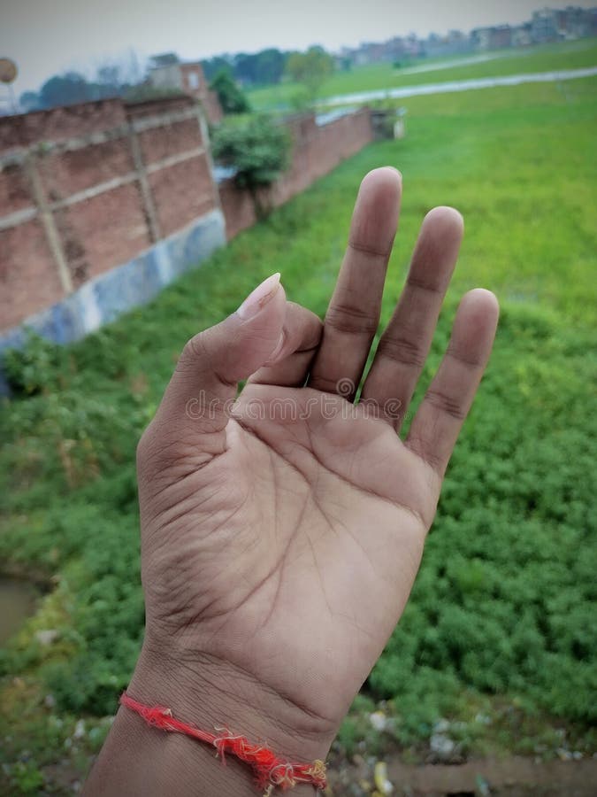 Yoga pose of palm stock image. Image of yoga, flower - 222732583