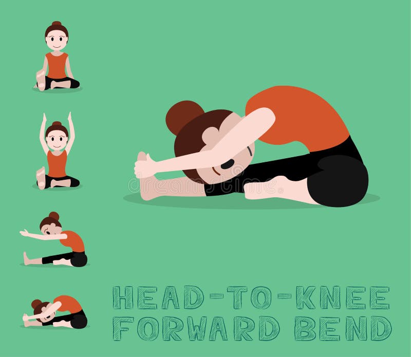Yoga Tutorial Head-to-knee Forward Bend Cartoon Vector Illustration ...