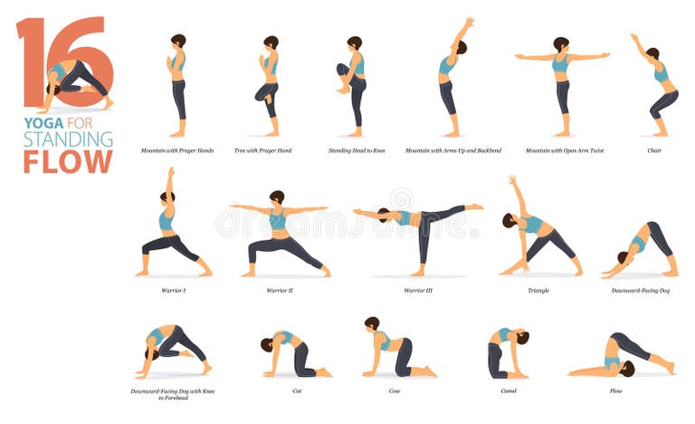 16 Yoga Poses or Asana Posture for Workout in Standing Flow Concept ...