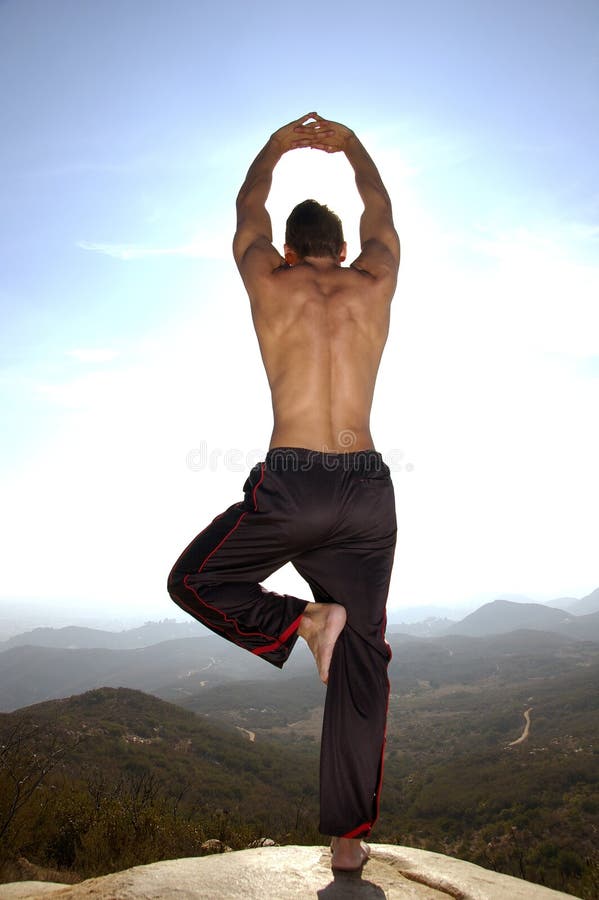Yoga stretching stock photo. Image of model, sweat, lean - 11785446