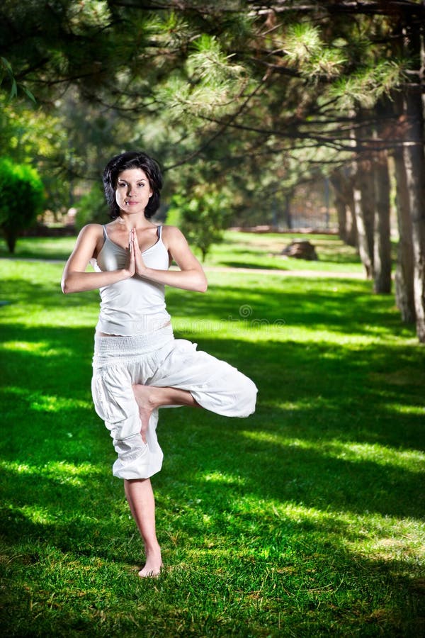 Yoga tree pose in park stock photo. Image of mental, class - 26825620