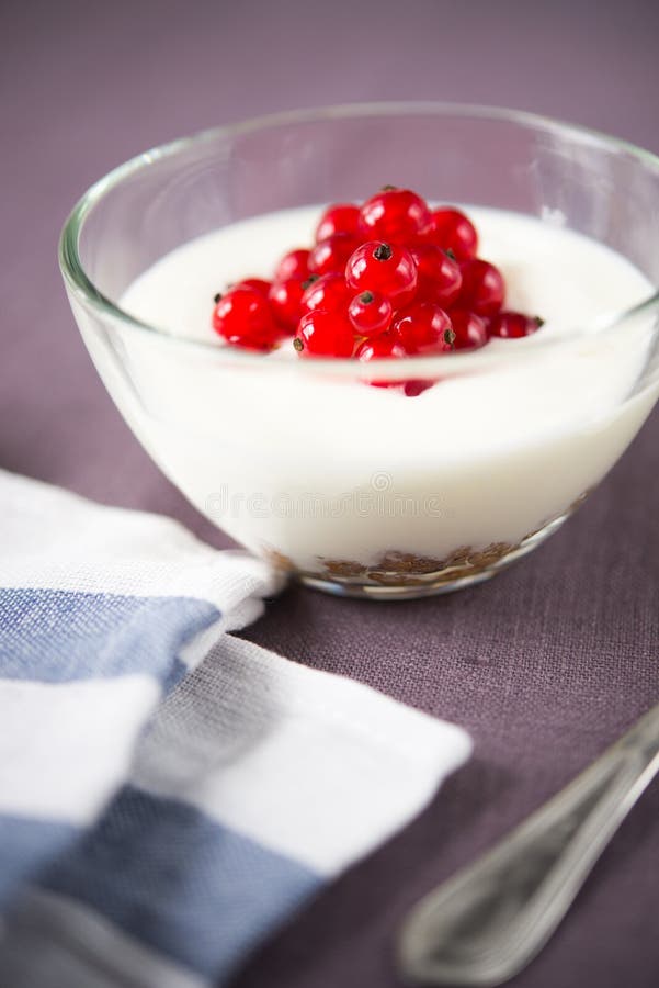 Yogurt with berries stock photo. Image of light, natural - 44802918