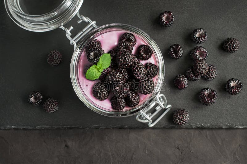 Yogurt with Black Raspberry or Blackberry in Glass Jar Stock Image ...