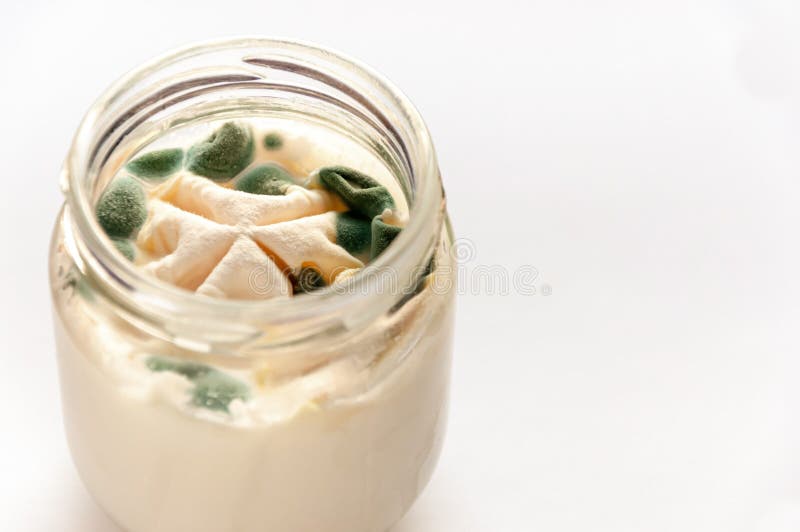 Mold Cup Yogurt Growth East Disgusting Mould Mildew Green Detail. Food ...