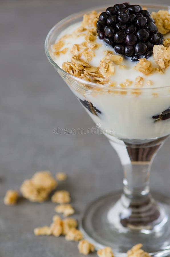 Yogurt Parfait stock image. Image of parfait, blackberry - 41848261