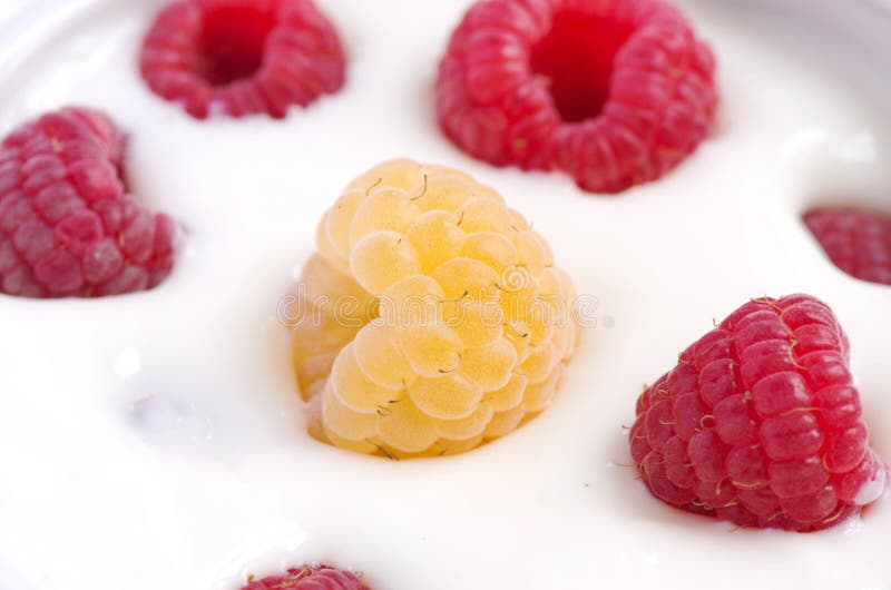 Yogurt with raspberries stock image. Image of healthy - 59189111