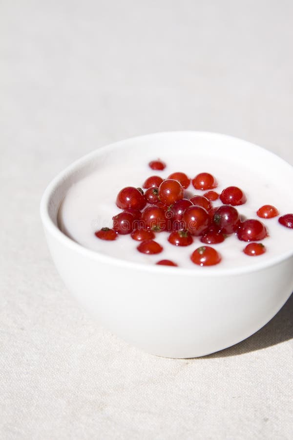 Yogurt and red currant stock photo. Image of cream, delicious - 10940284