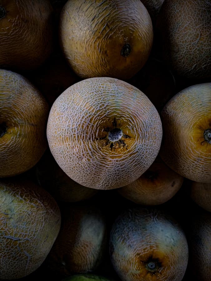 Yogyakarta 07 March 2022. Melons for Sale in Fruit Shops Stock Image ...