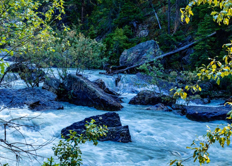 Yoho River Yoho National Park British Columbia Canada Stock Image ...