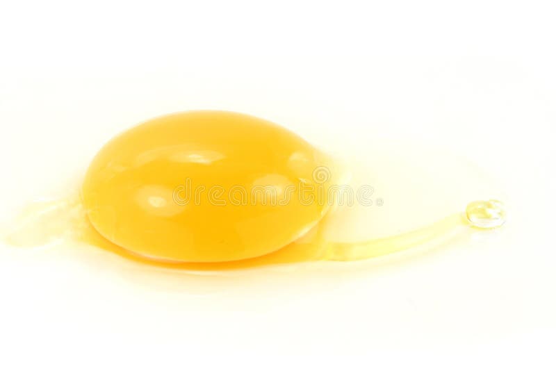 Yolk stock image. Image of yellow, white, yolk, chicken - 1759743