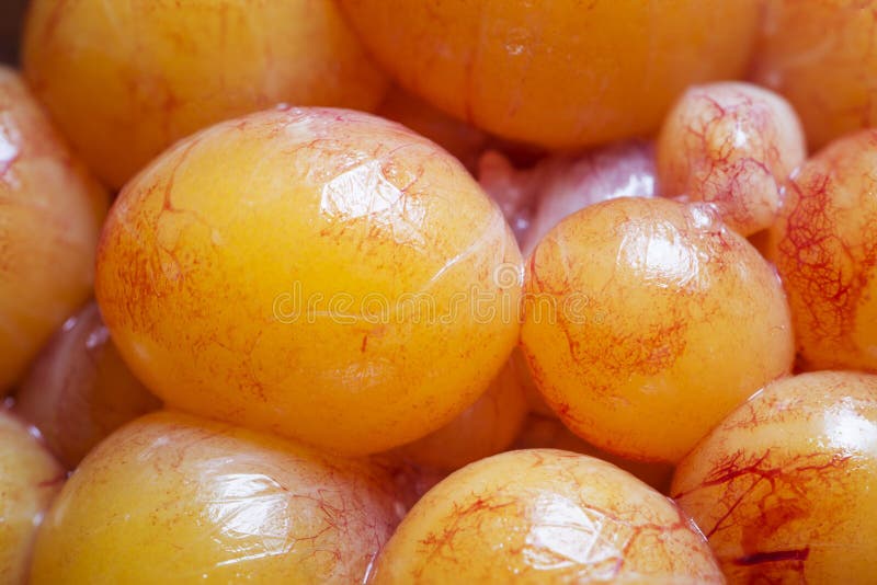 Yolk stock photo. Image of vitellus, fresh, diet, cuisine - 57804756