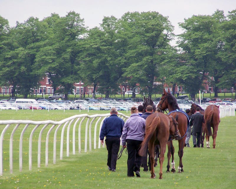 York Races stock photo. Image of grass, meeting, crowds - 123954