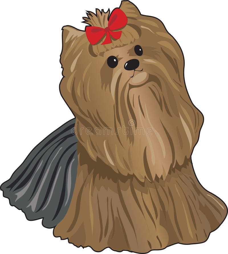 Yorkie cartoon stock vector. Illustration of dame, yorkie - 15879918