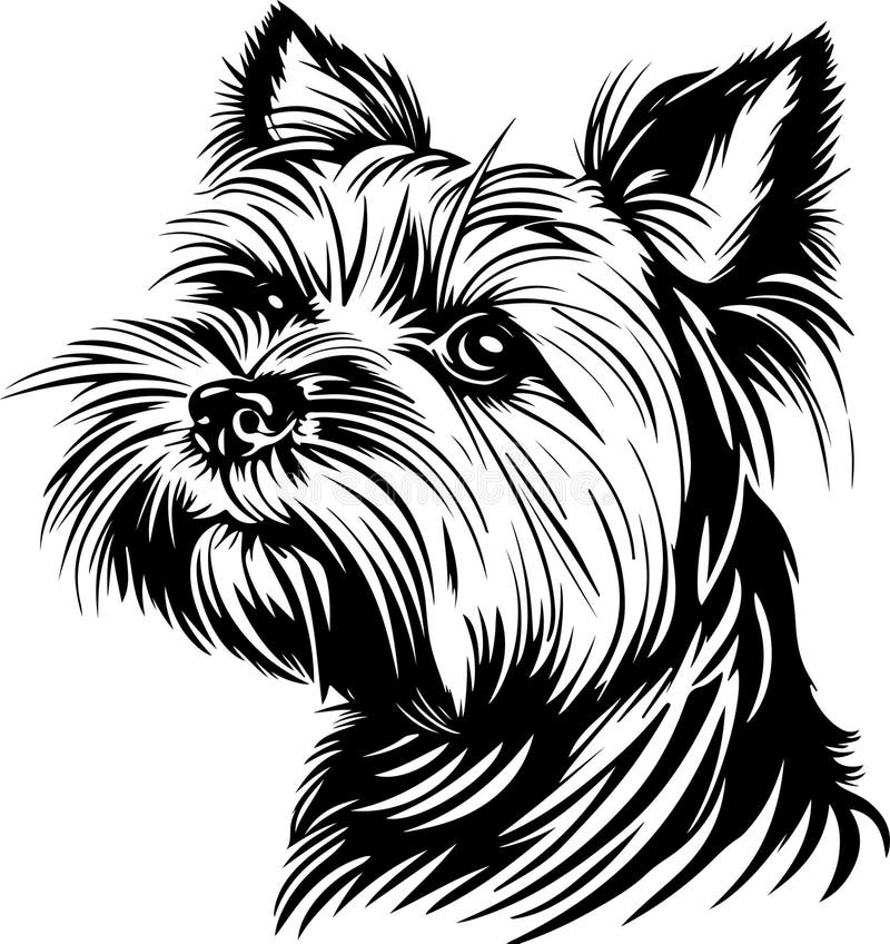 Yorkie Dog Vector Silhouette Stock Vector - Illustration of yorkie ...