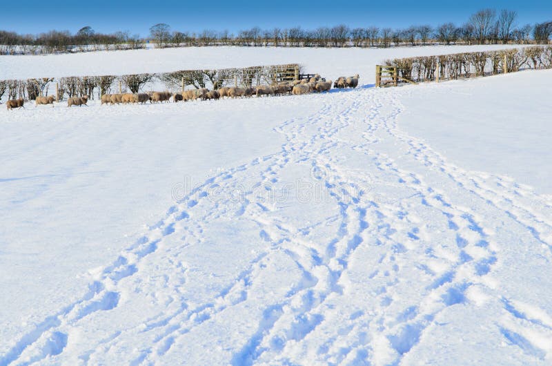 Yorkshire farm stock image. Image of weather, landscape - 28881437