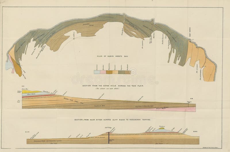British Library Digitised Image From Page 263 Of "The Yorkshire Lias ...