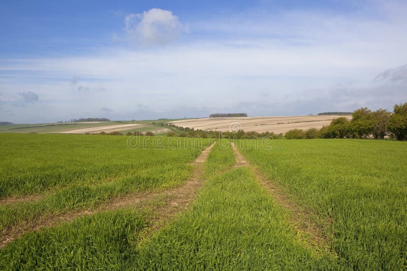 Yorkshire wolds landscape stock image. Image of agriculture - 24778087