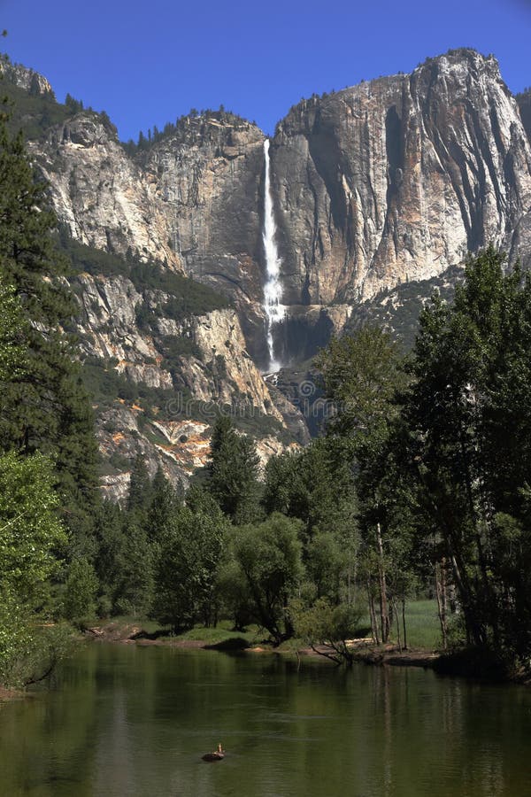 Yosemite Falls - California Stock Image - Image of park, falls: 82205627