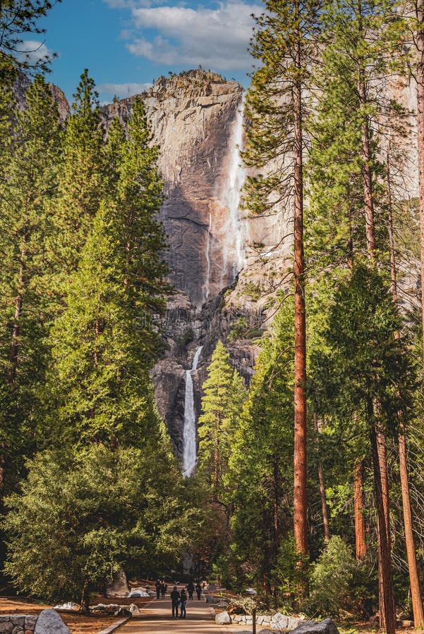 Yosemite Falls Waterfall and Landscape Scene Editorial Stock Image ...